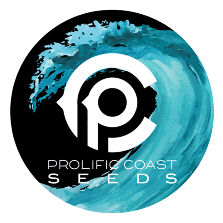 Terpy Seeds - Marijuana Seed Bank - Cannabis Seeds For Sale