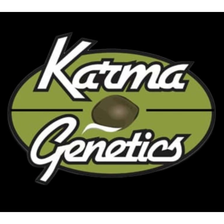 Terpy Seeds - Marijuana Seed Bank - Cannabis Seeds For Sale