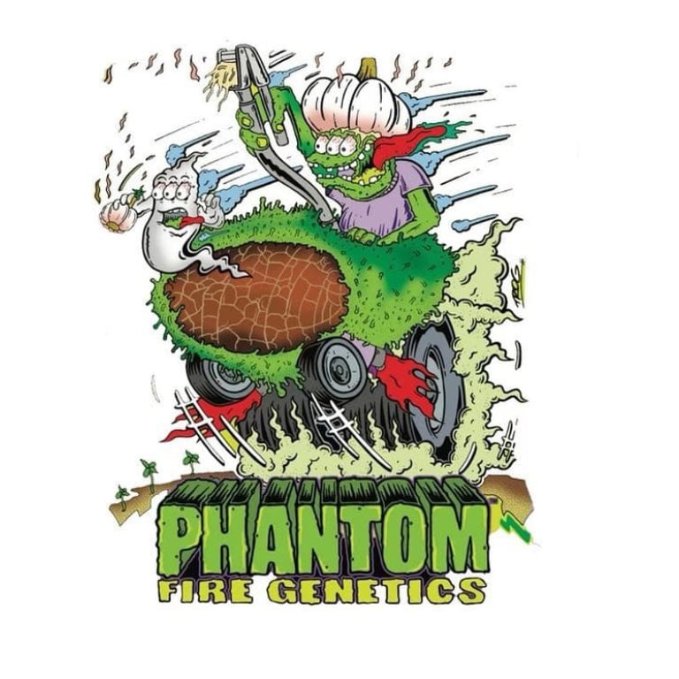 Terpy Seeds - Marijuana Seed Bank - Cannabis Seeds For Sale