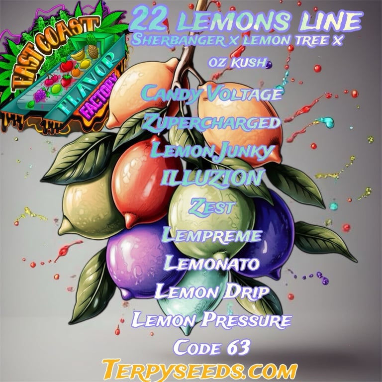 Terpy Seeds - Marijuana Seed Bank - Cannabis Seeds For Sale